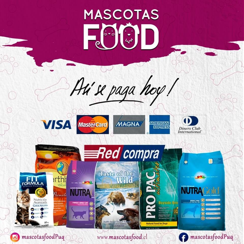 Alimento Premium para Mascotas en Punta Arenas - Mascotas Food